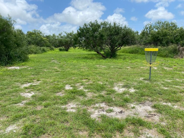 End of Summer Bash Disc Golf Tournament – Lazy Beach Brewing